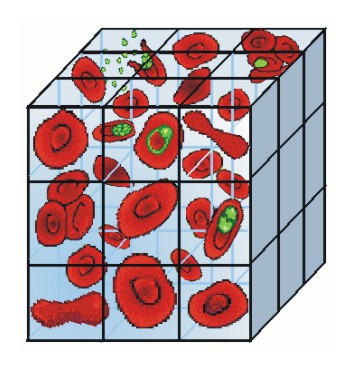 Malària — Modelització i Simulació Discreta de Sistemes Biològics ...